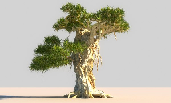 Dragon tree pack hd 3D model - TurboSquid 1392230