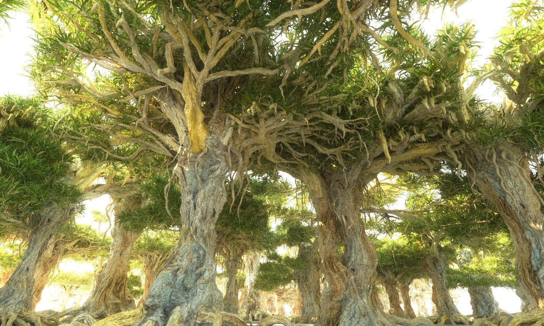 Dragon Tree Pack Hd 3D Model - TurboSquid 1392230