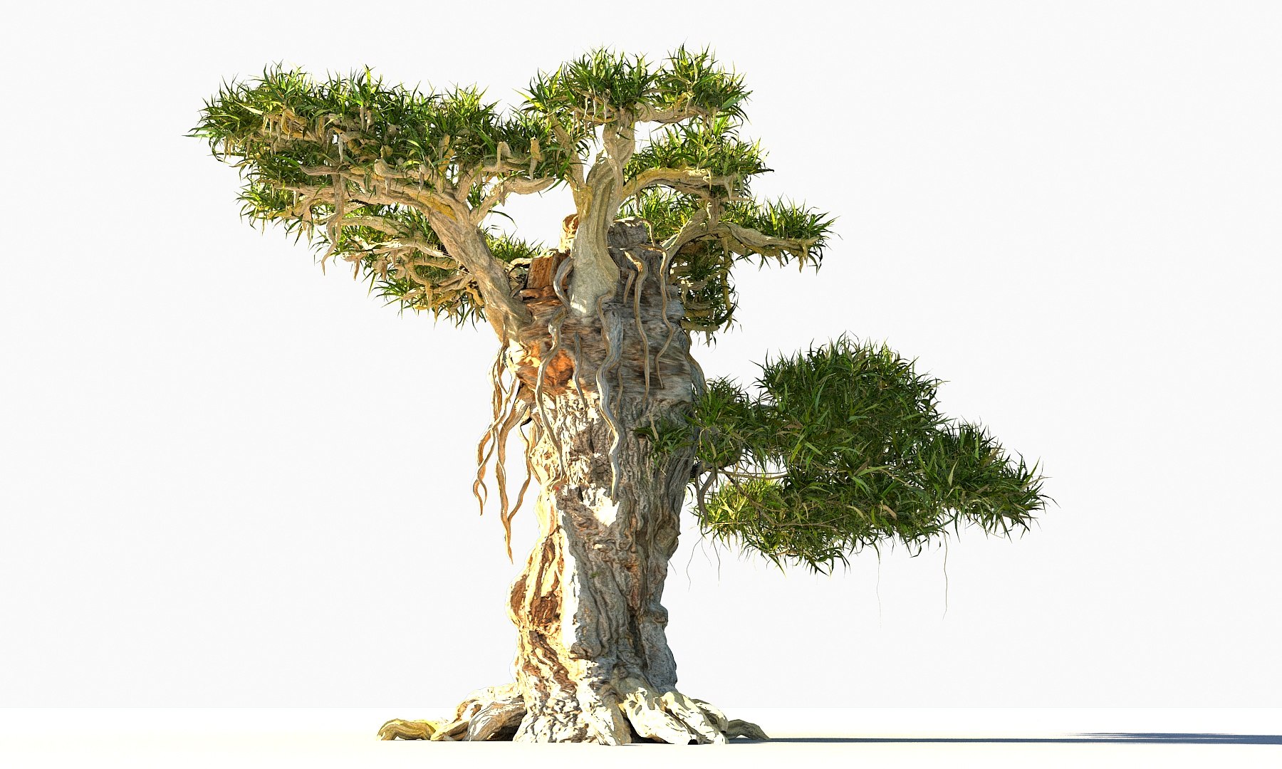 Dragon tree pack hd 3D model - TurboSquid 1392230