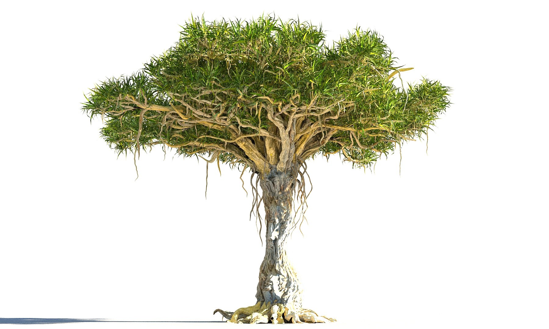 Dragon tree pack hd 3D model - TurboSquid 1392230