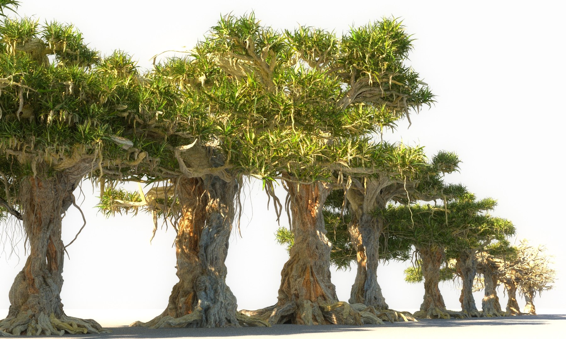 Dragon Tree Pack Hd 3D Model - TurboSquid 1392230