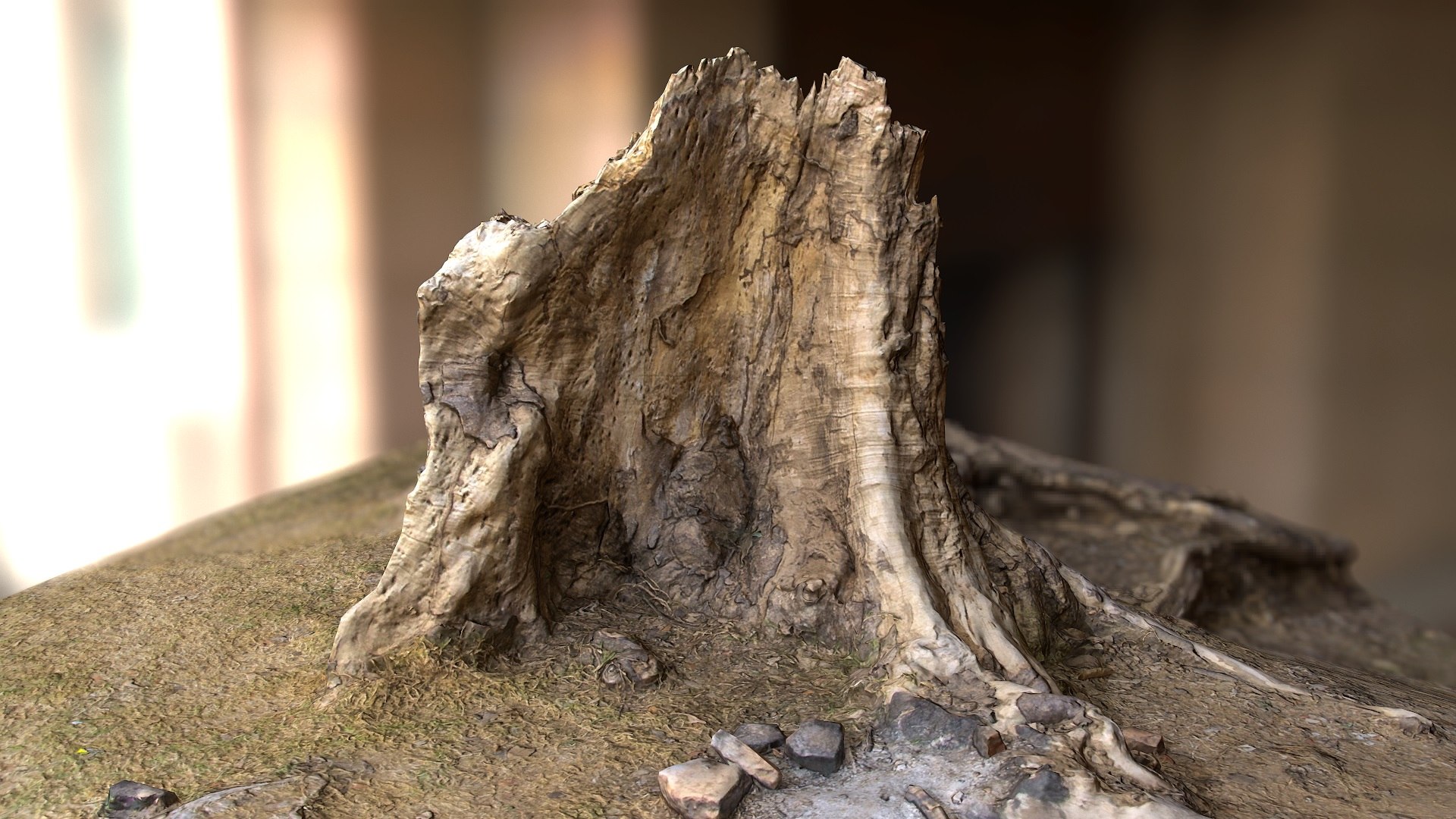 3D Old Tree Stump - TurboSquid 1157402