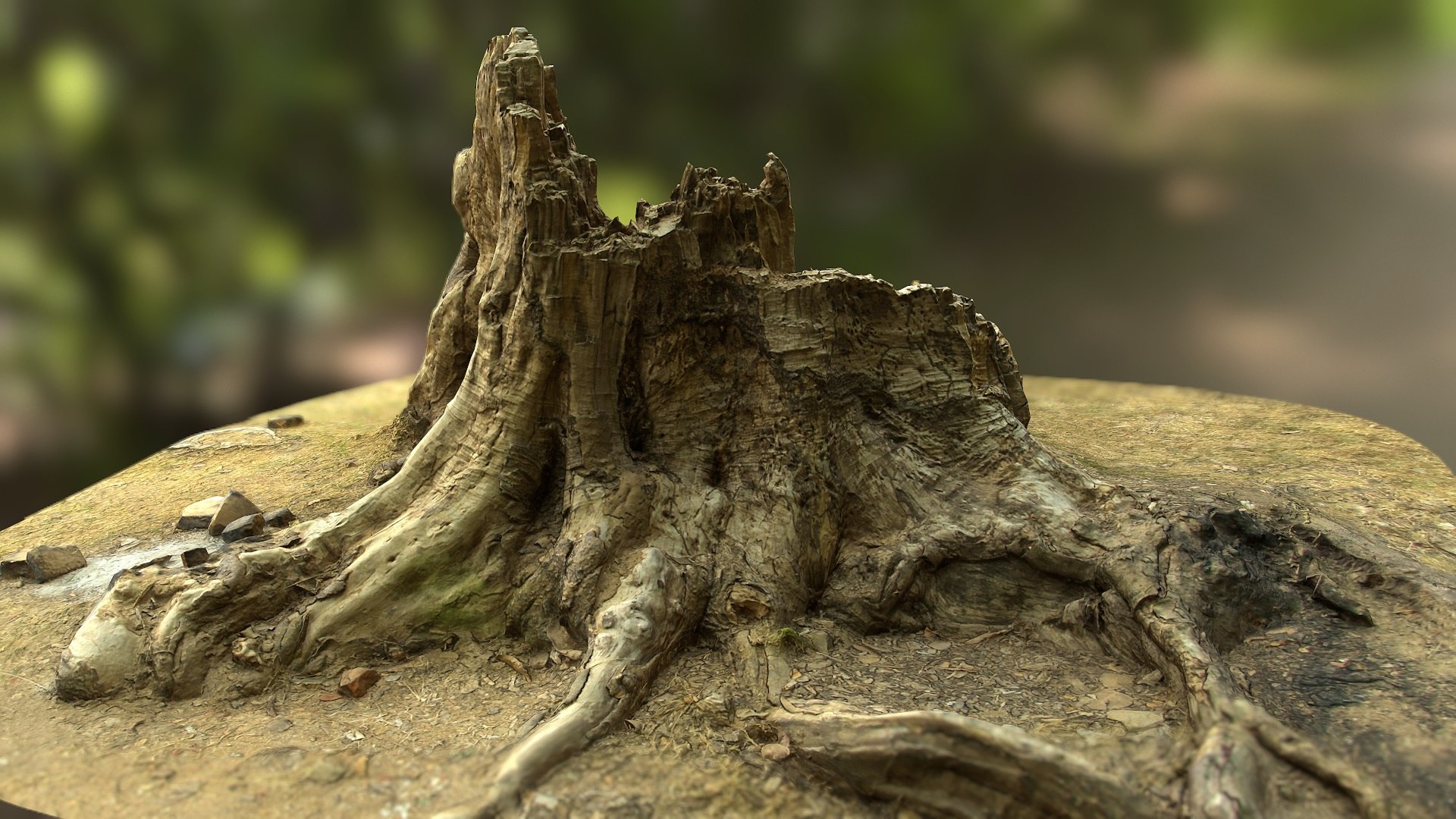 3D Old Tree Stump - TurboSquid 1157402