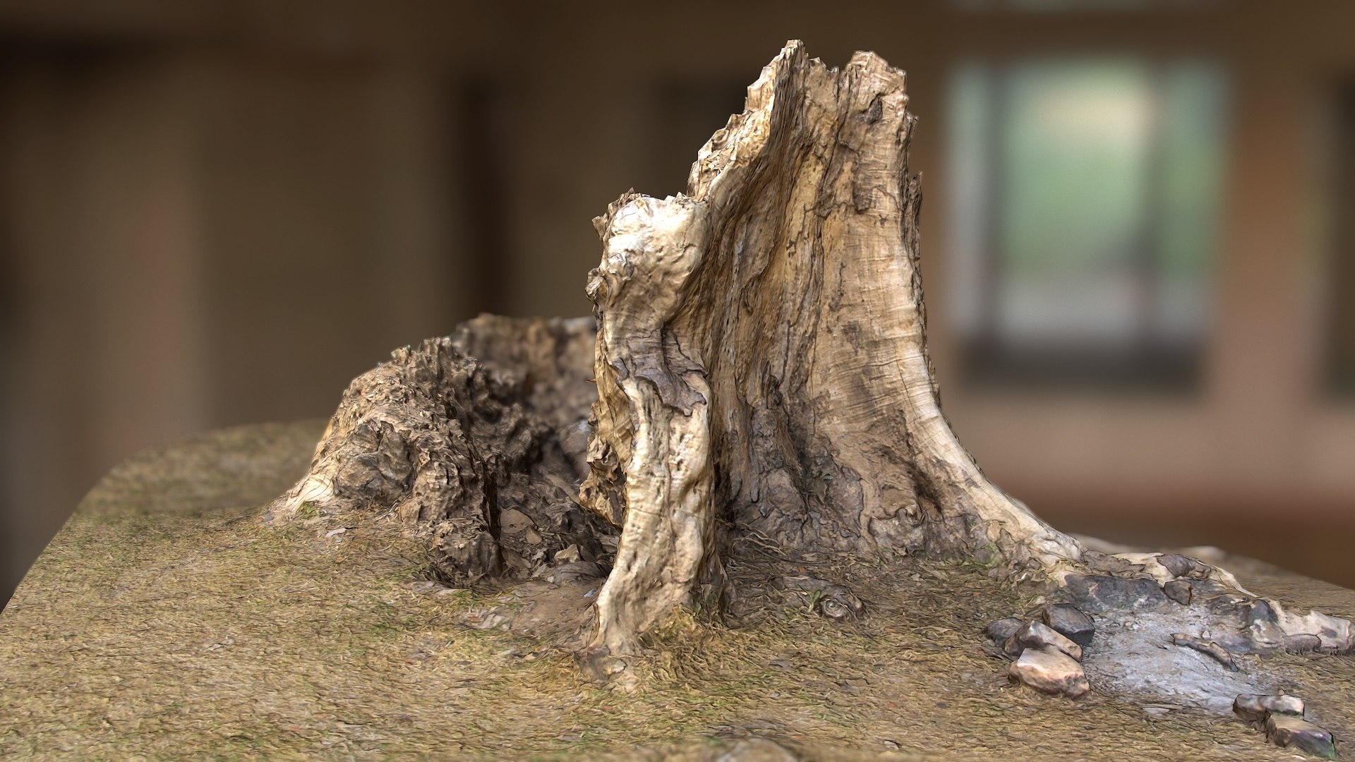 3D Old Tree Stump - TurboSquid 1157402
