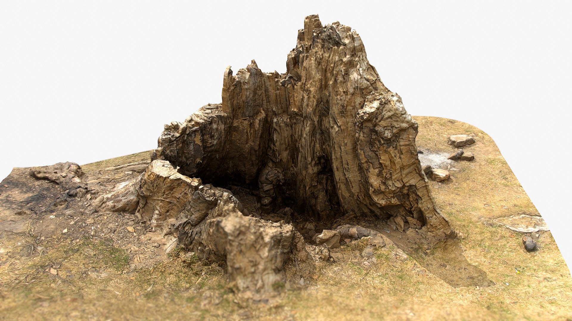3D Old Tree Stump - TurboSquid 1157402