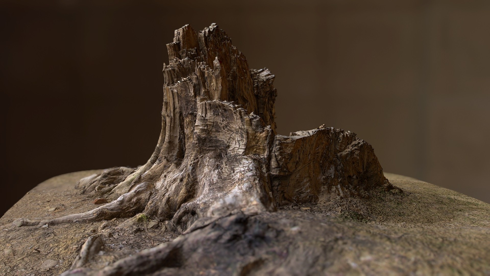 3D Old Tree Stump - TurboSquid 1157402