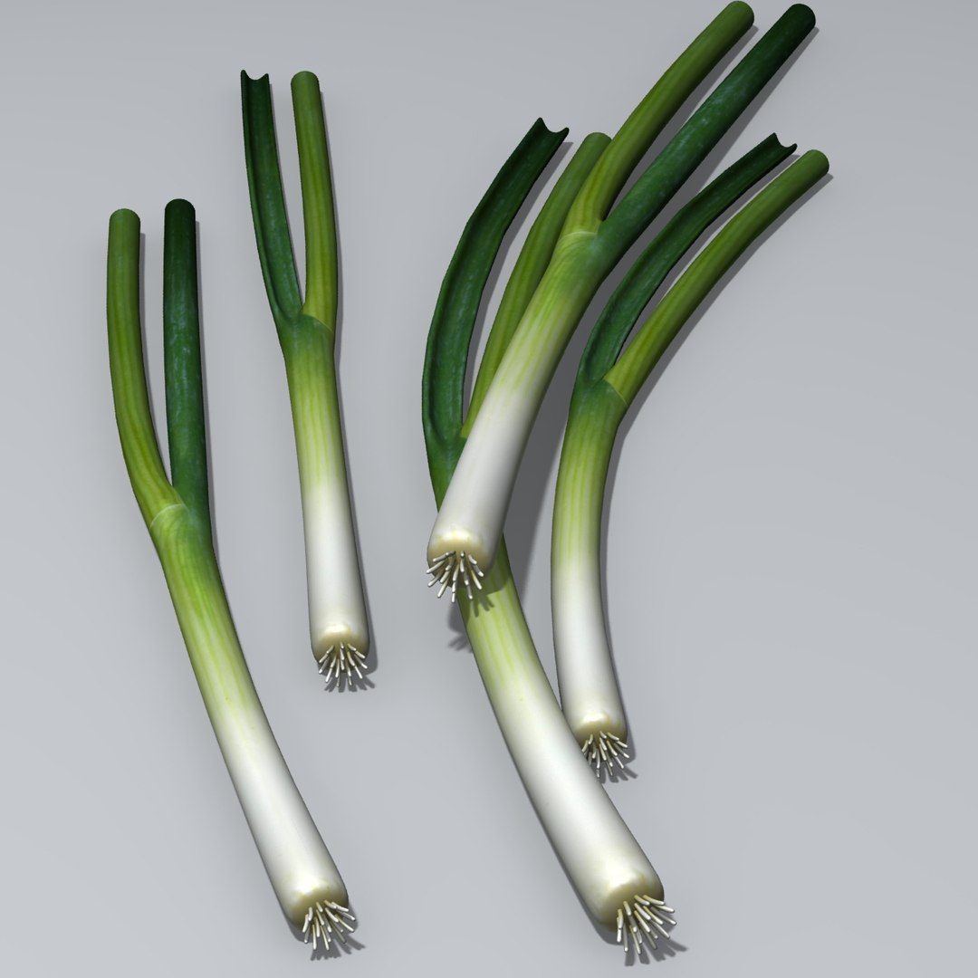 3d Salad Spring Onion