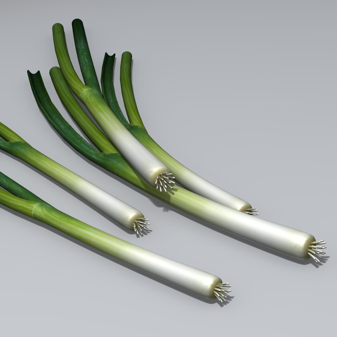 3d Salad Spring Onion