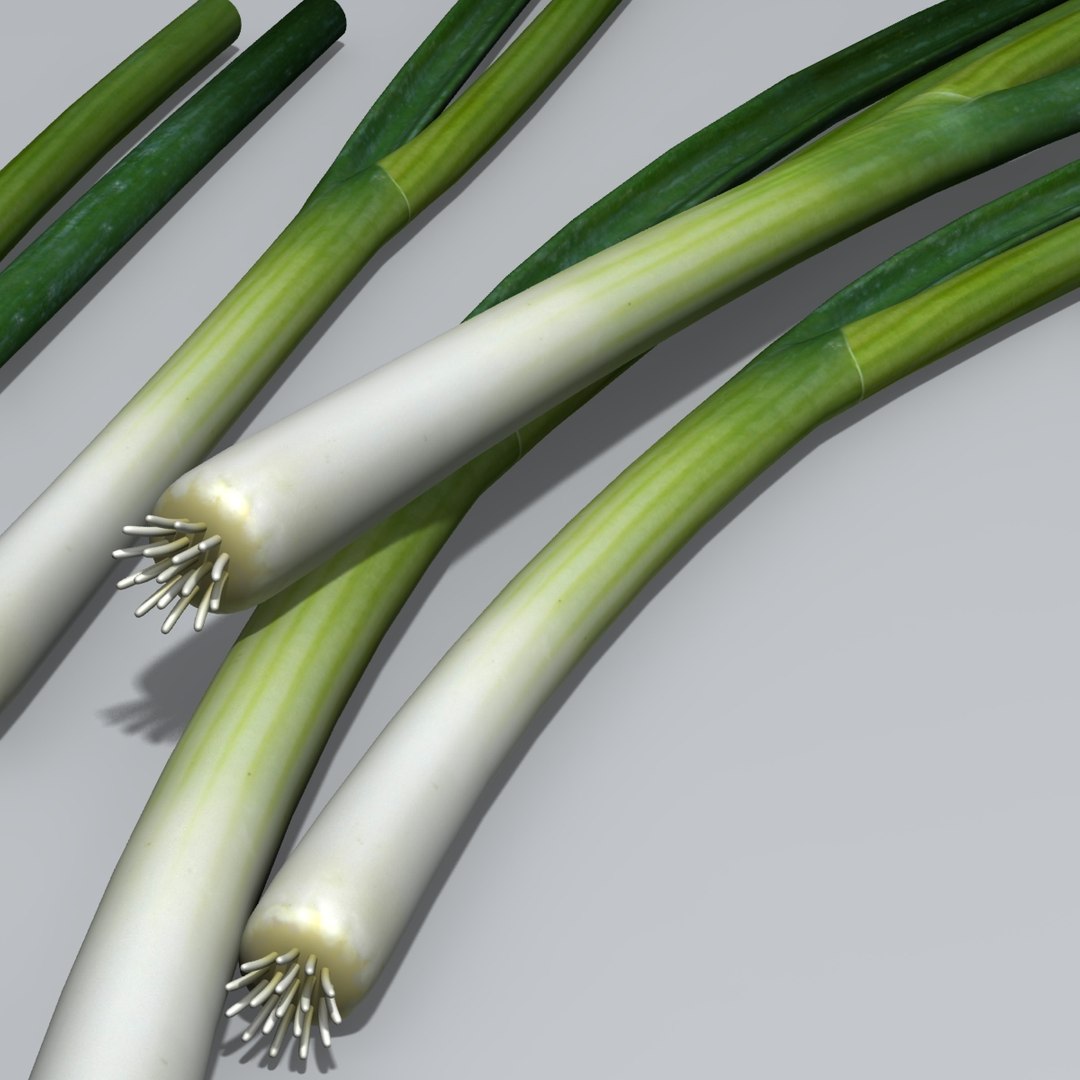 3d Salad Spring Onion