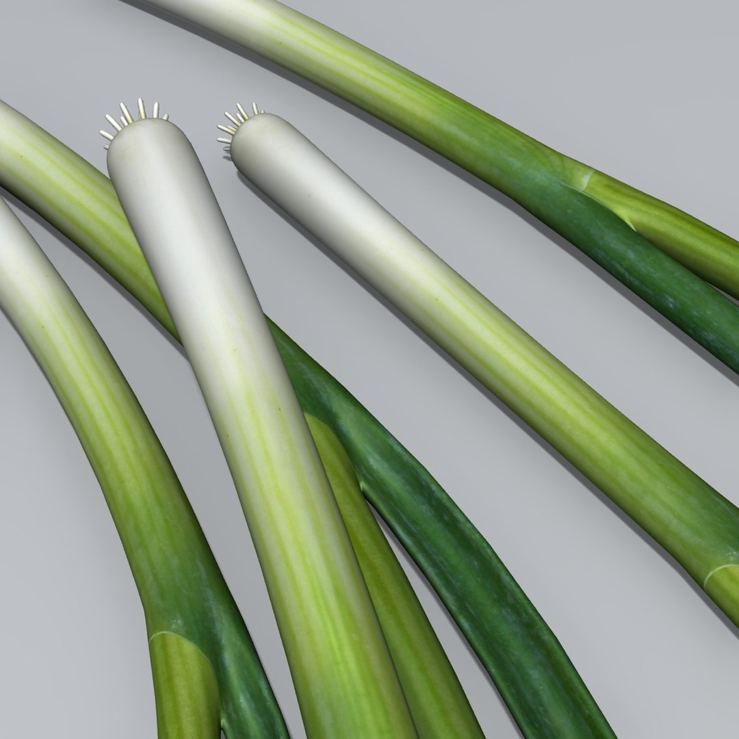 3d Salad Spring Onion