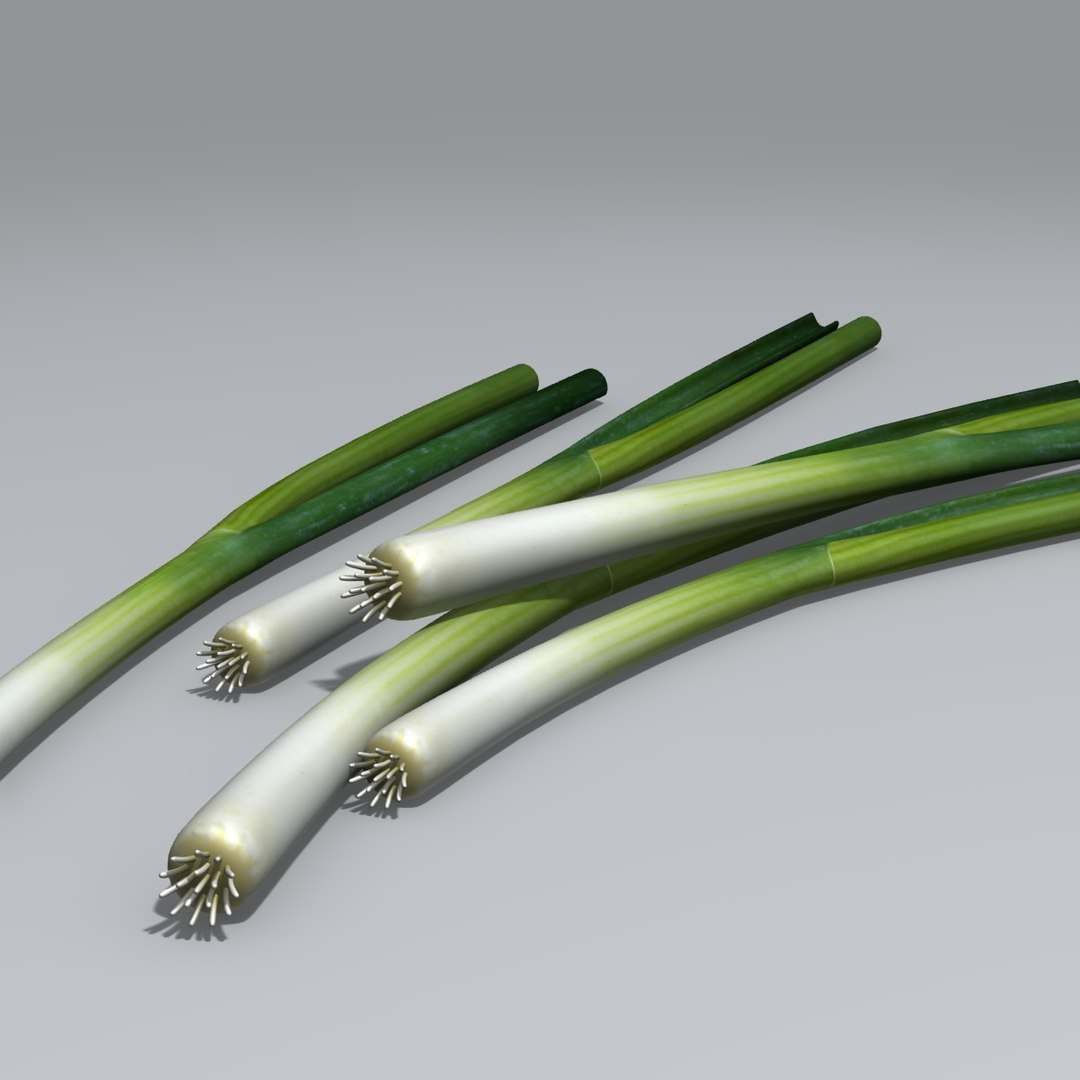 3d Salad Spring Onion