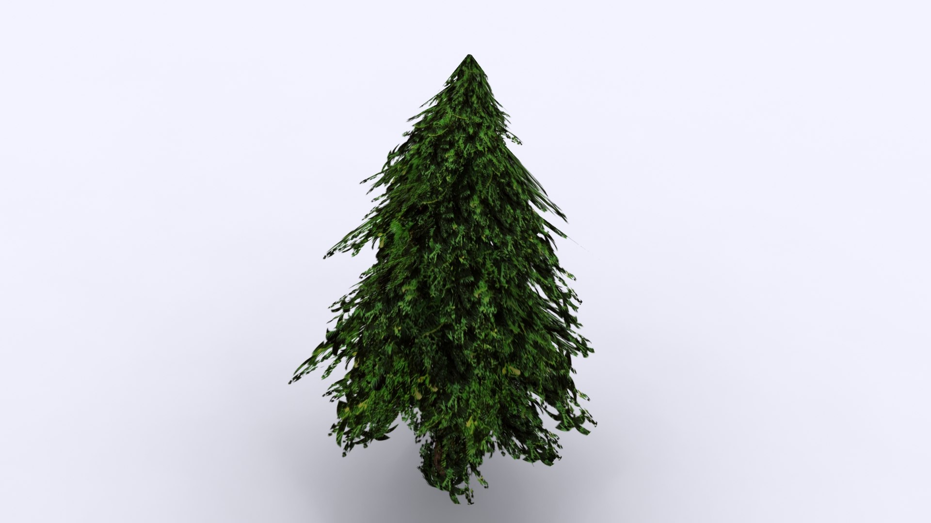 Pine Tree Model - TurboSquid 1729940