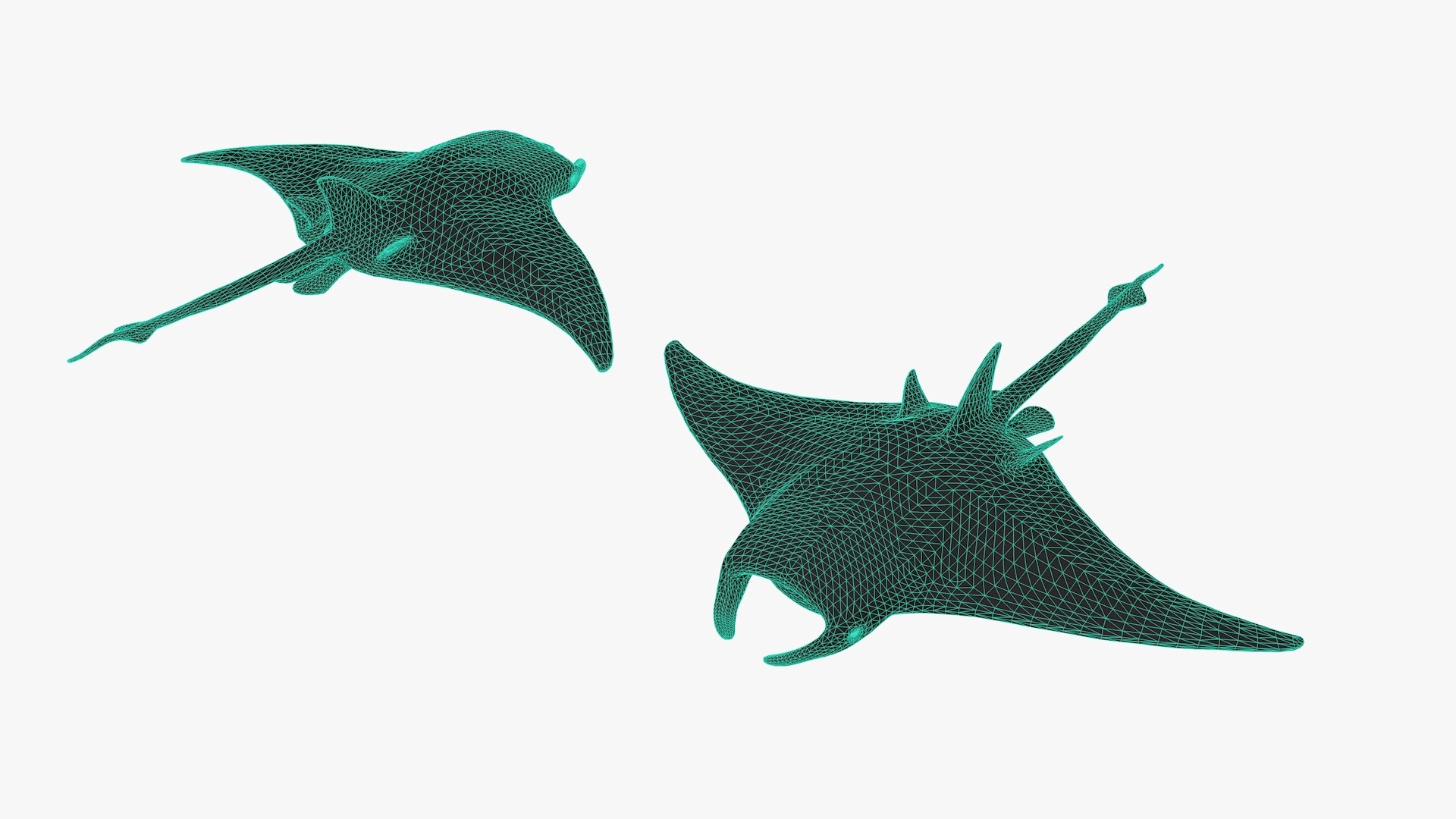 3D Manta Ray - TurboSquid 1840510