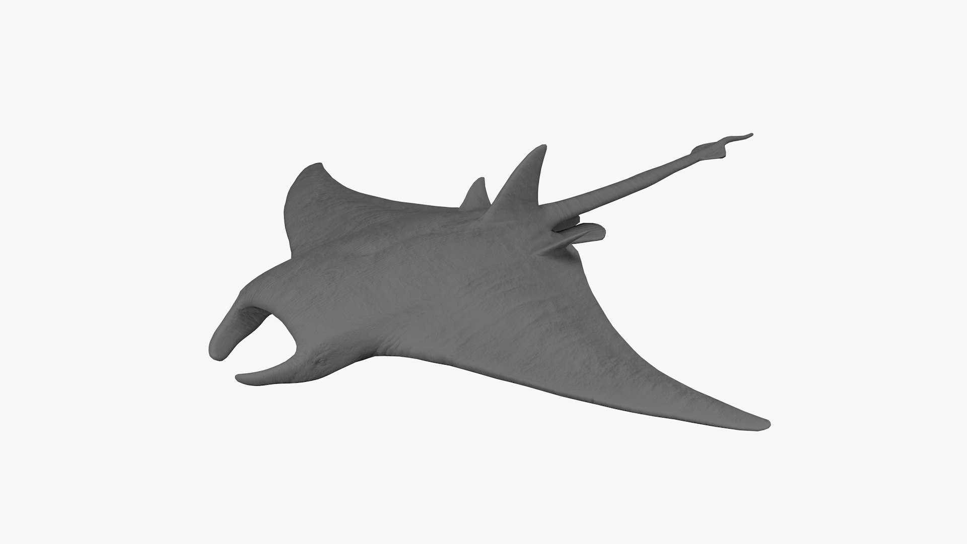 3D Manta Ray - TurboSquid 1840510