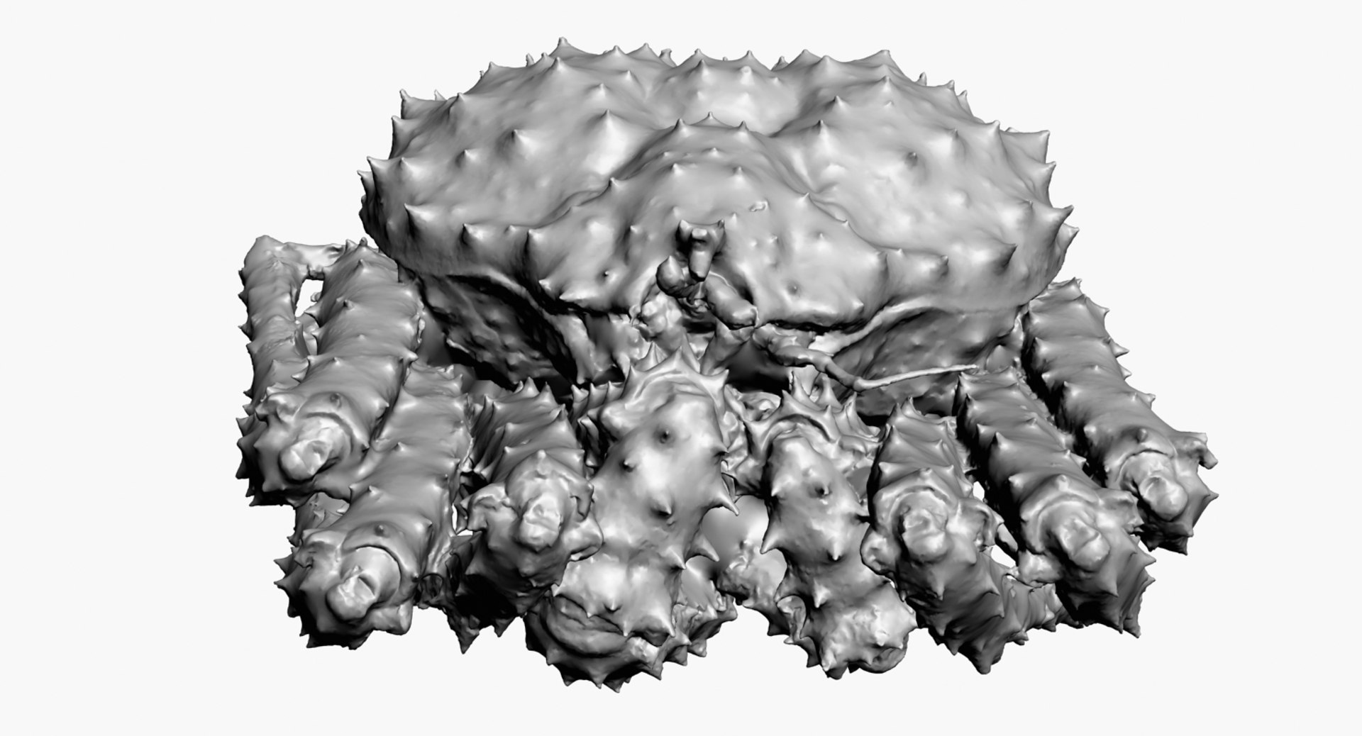 3D Model Spider Crab Raw Scan - TurboSquid 1291336