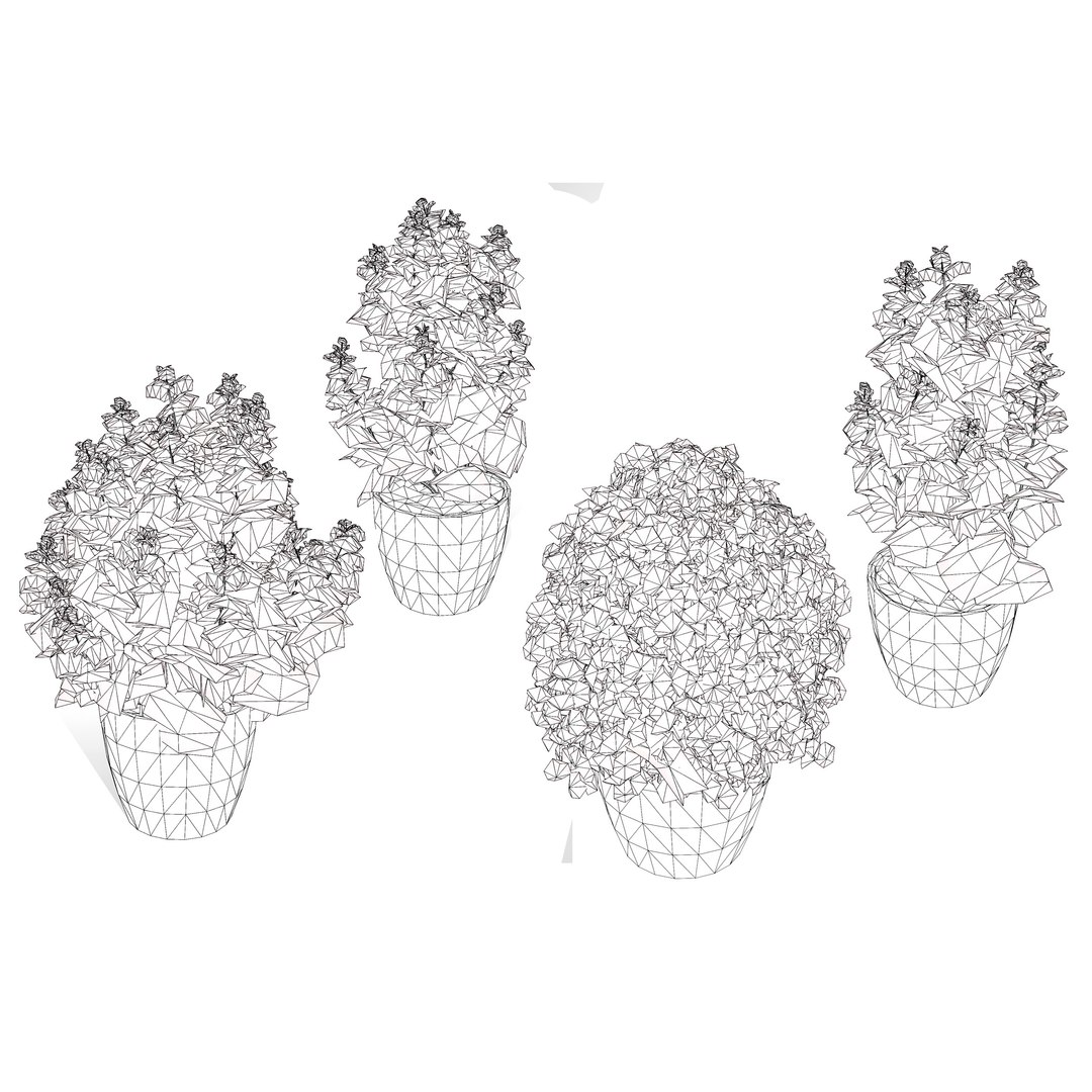3D Basil Variety 3D Pack With Free Tutorial Model - TurboSquid 2291358