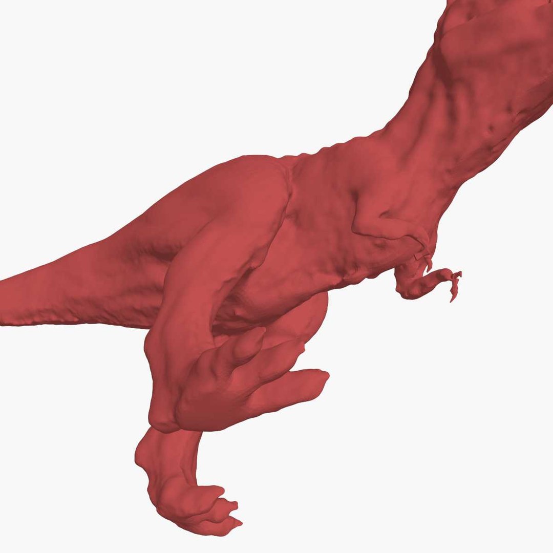 3d t-rex - base