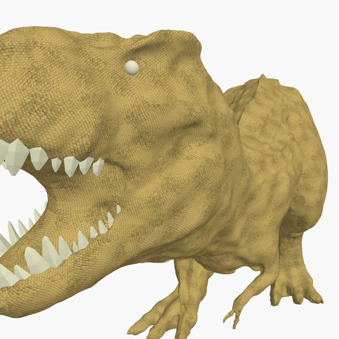 3d t-rex - base