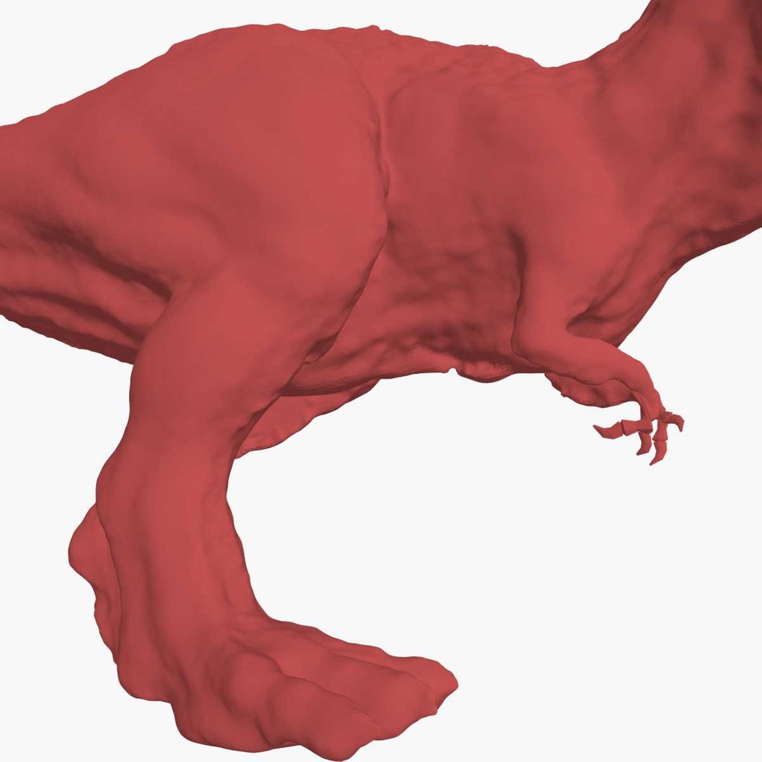 3d t-rex - base