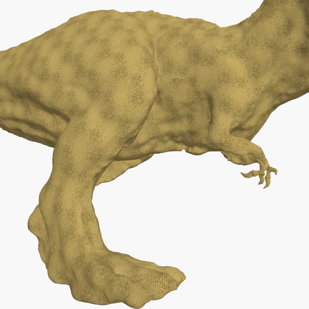 3d t-rex - base
