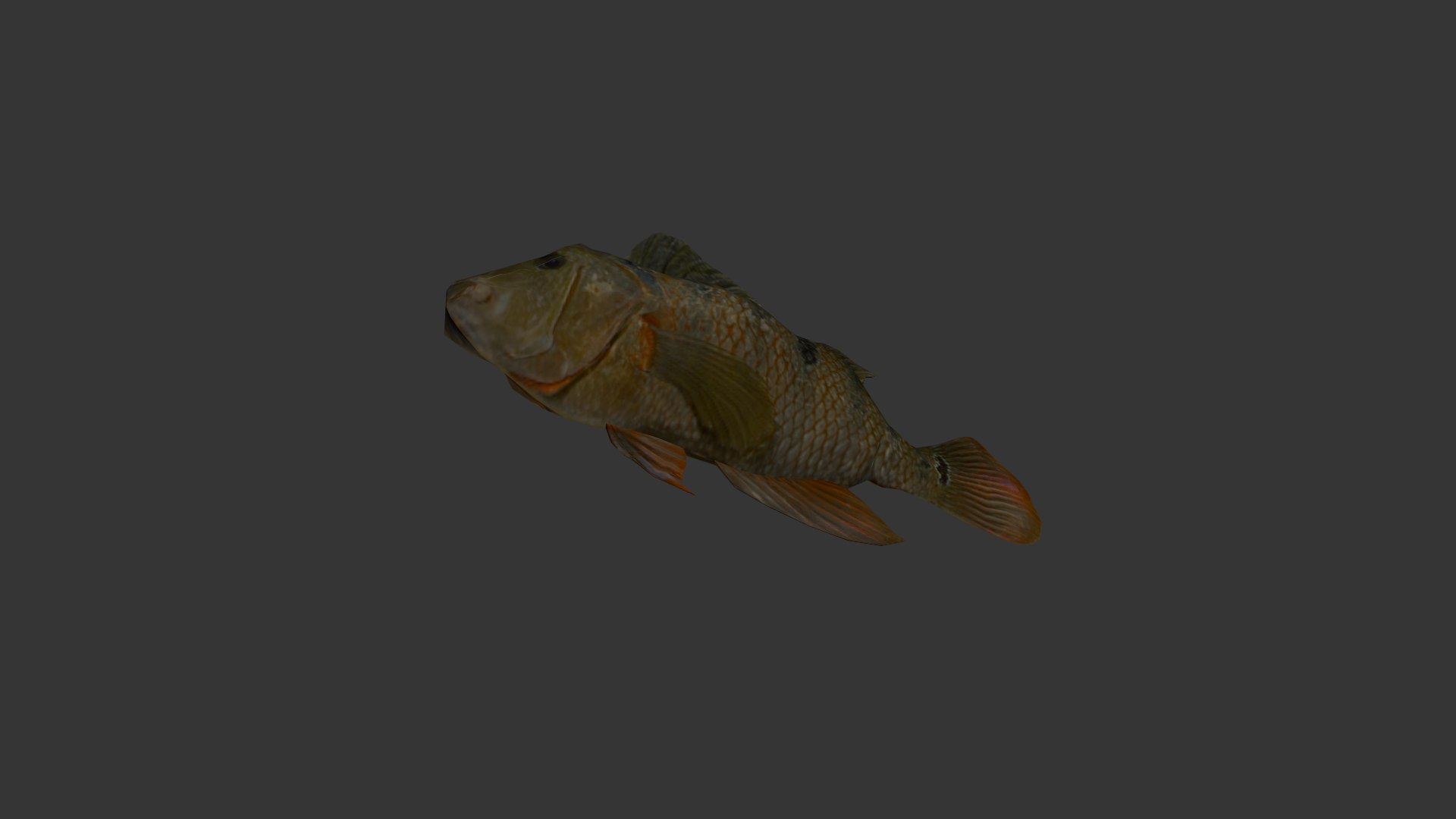 3D Fish Model - TurboSquid 2226380
