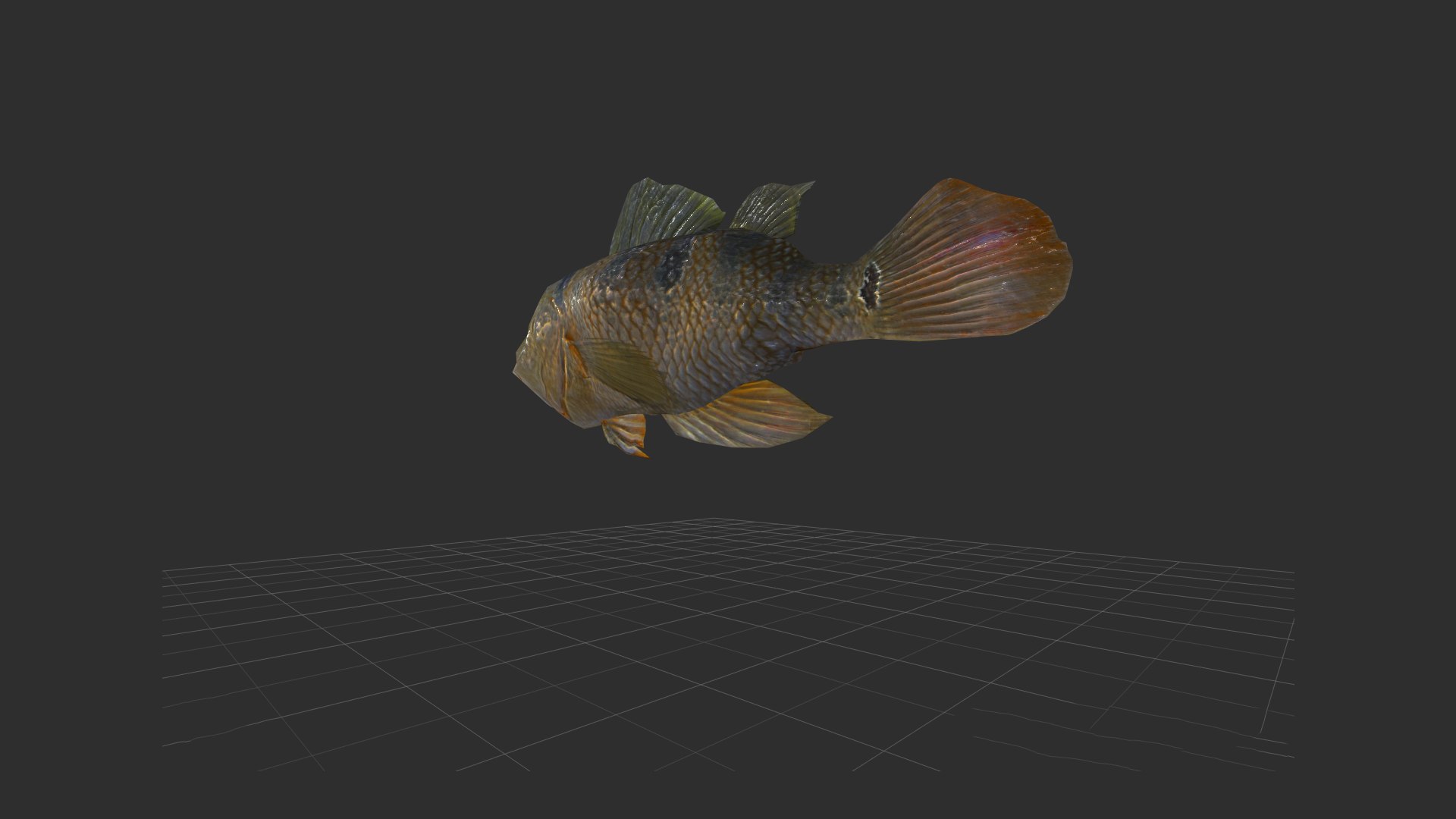 3D Fish Model - TurboSquid 2226380