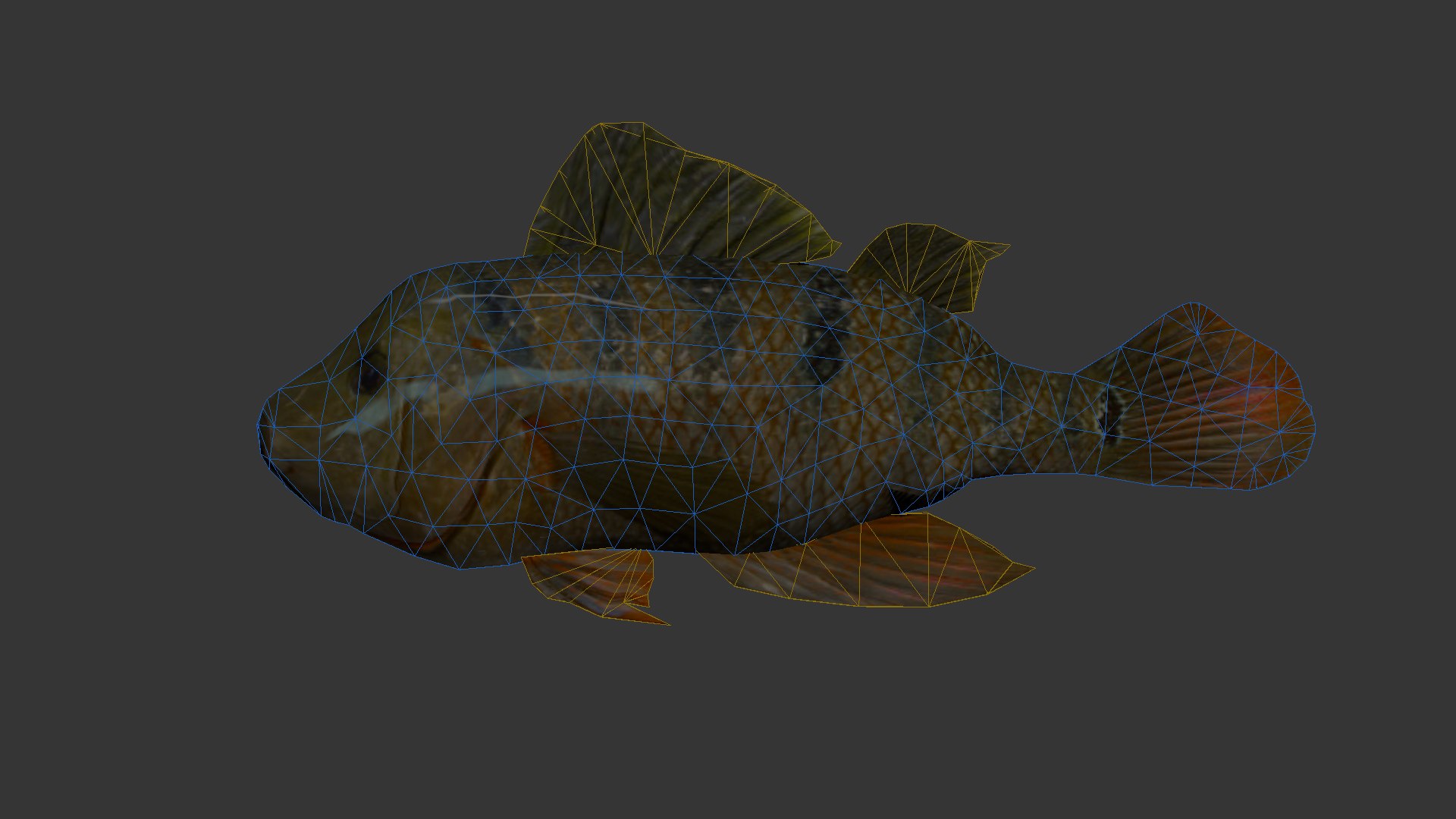 3D Fish Model - TurboSquid 2226380