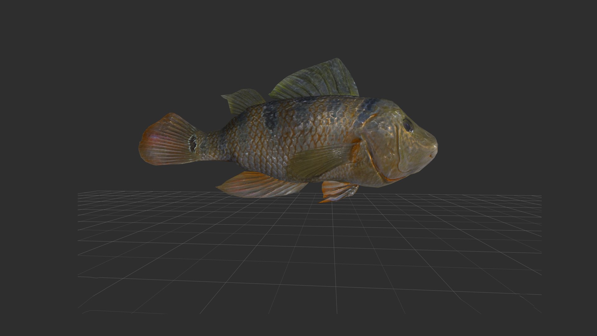 3D Fish Model - TurboSquid 2226380