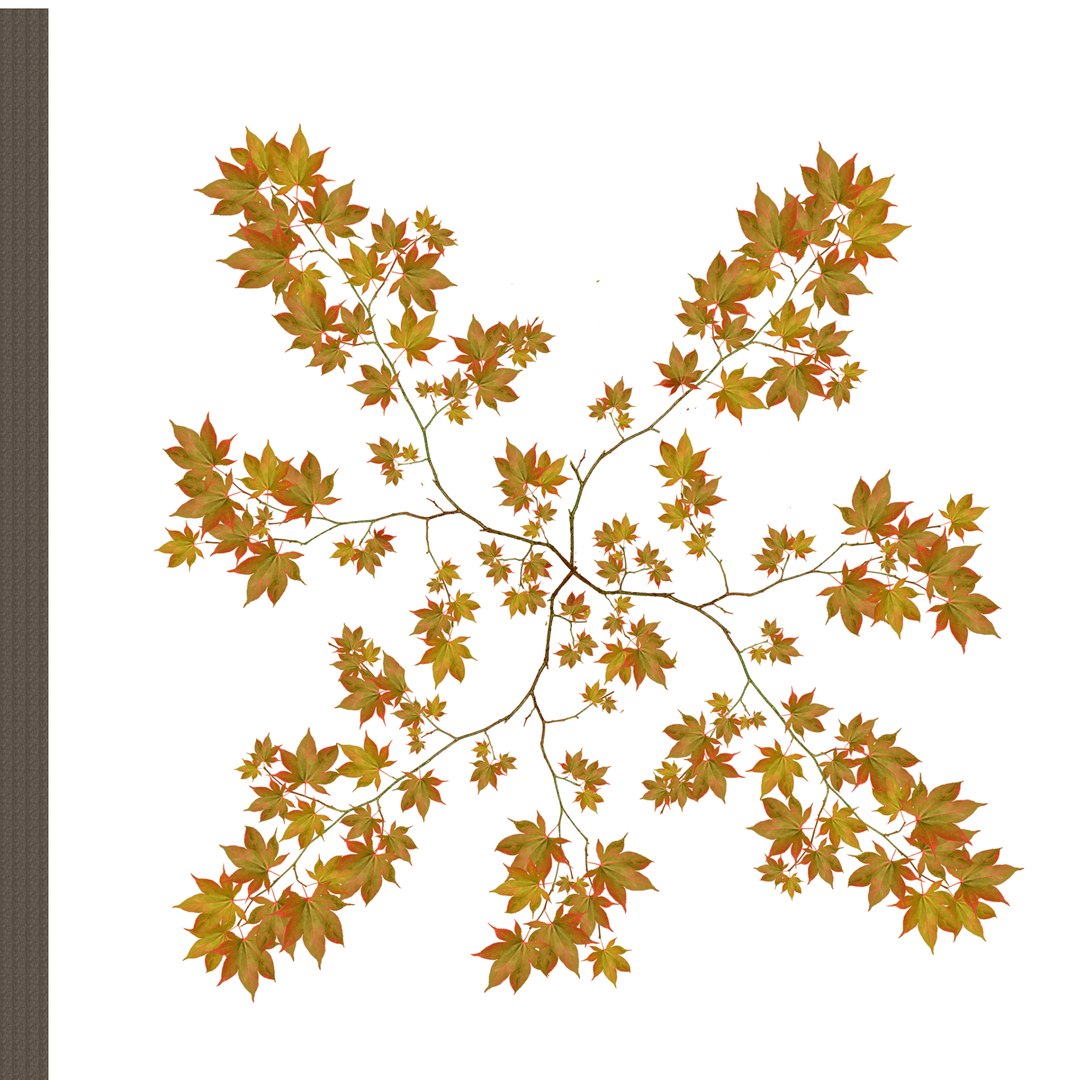 Low Poly Plane Tree - Green And Fall Foliage With Free Tutorial 3D ...