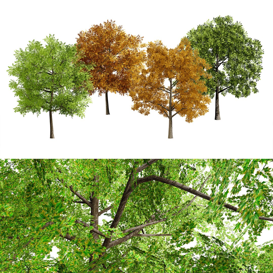 Low Poly Plane Tree - Green And Fall Foliage With Free Tutorial 3D ...