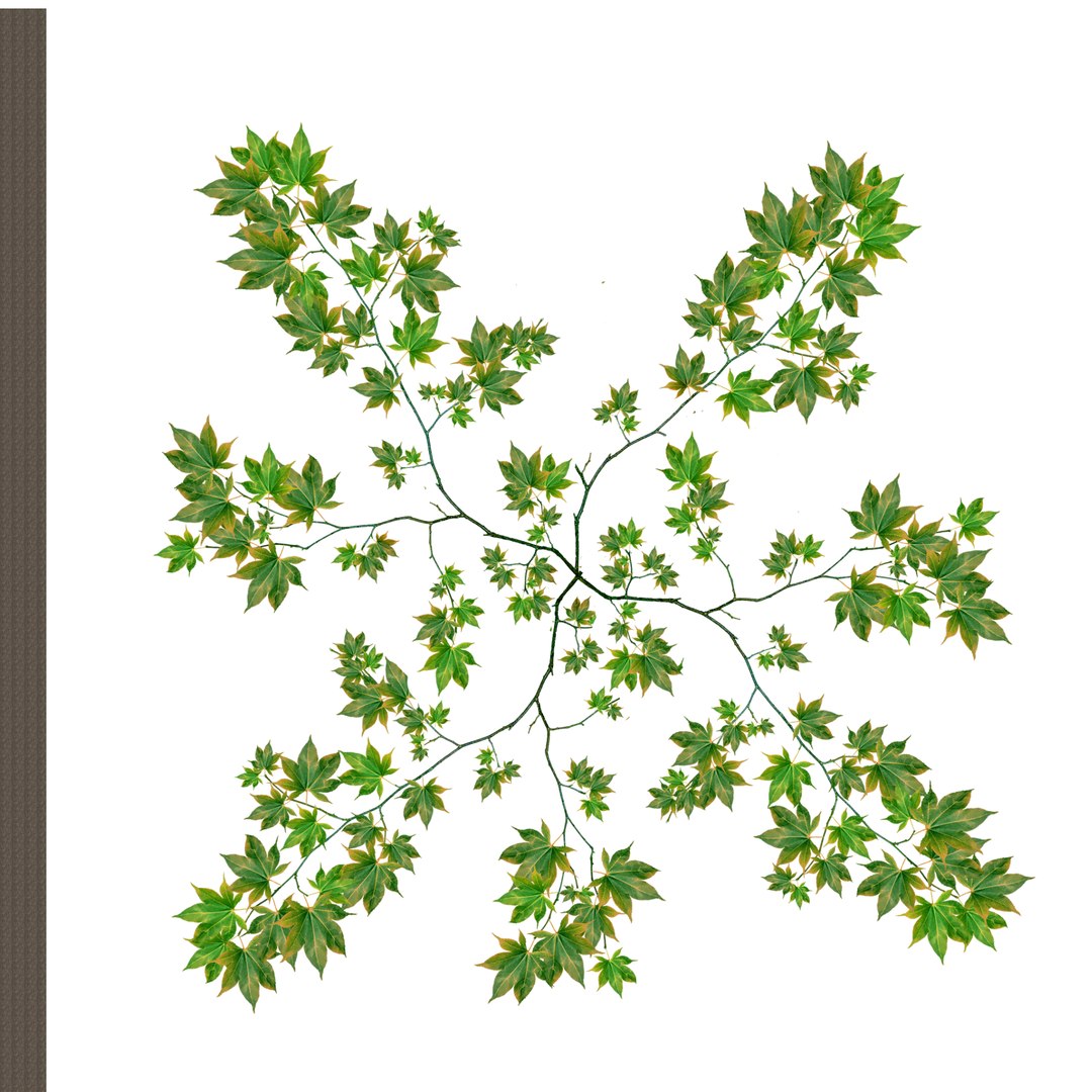 Low Poly Plane Tree - Green And Fall Foliage With Free Tutorial 3D ...
