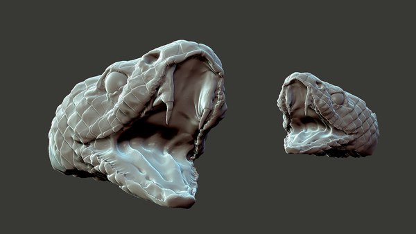 Snake head 3D model - TurboSquid 1719807
