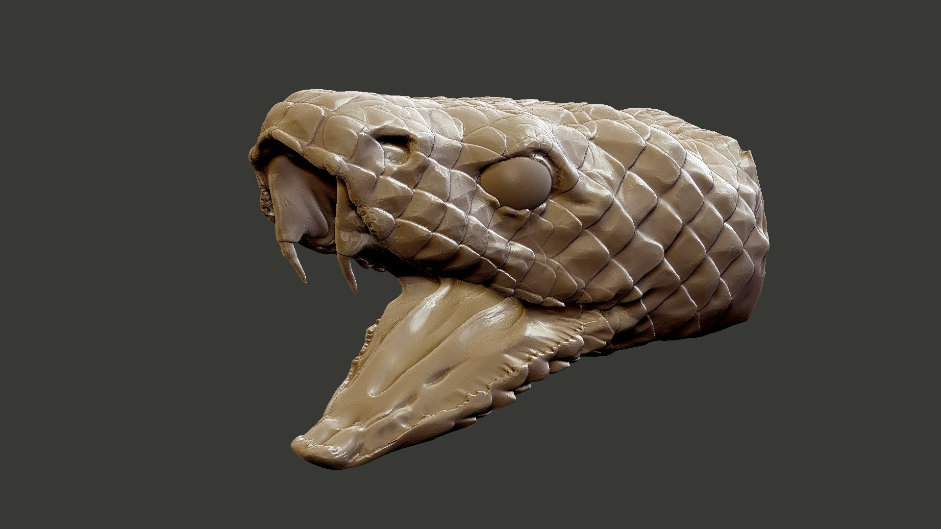 Snake Head 3D Model - TurboSquid 1719807