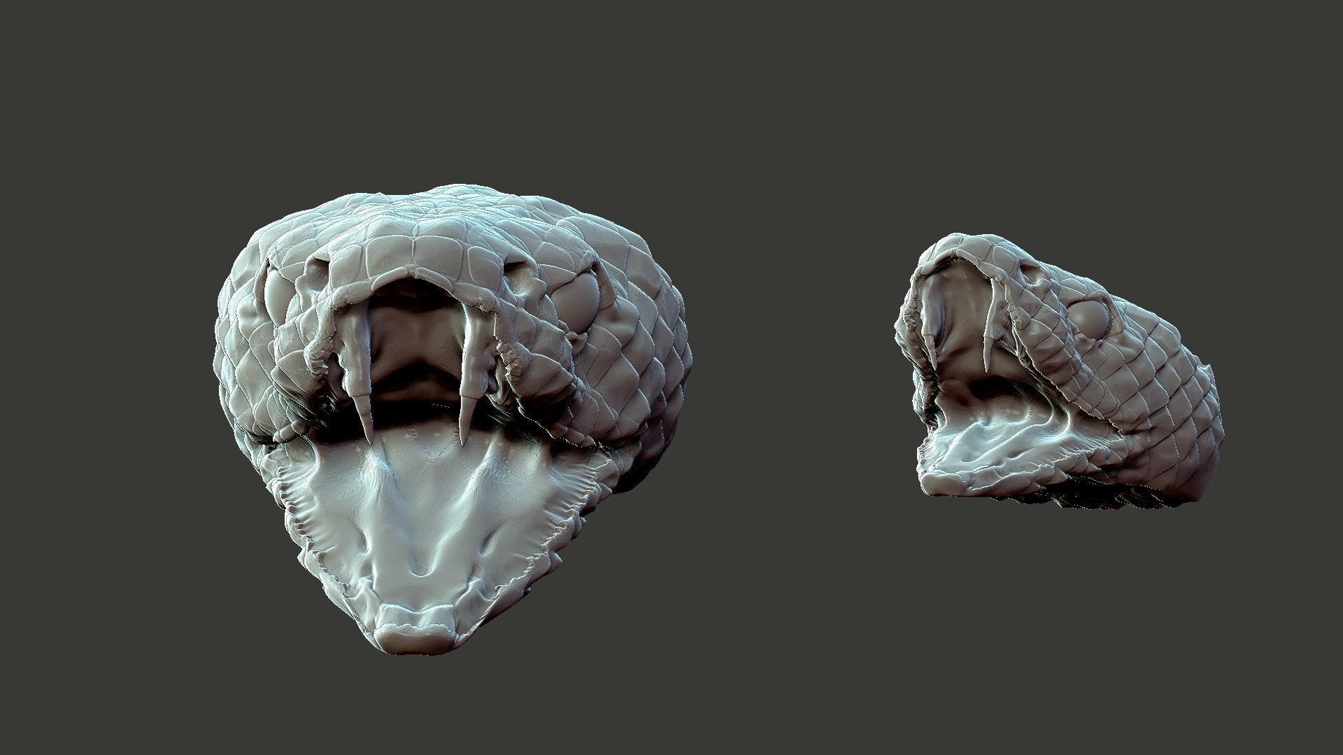 Snake Head 3D Model - TurboSquid 1719807