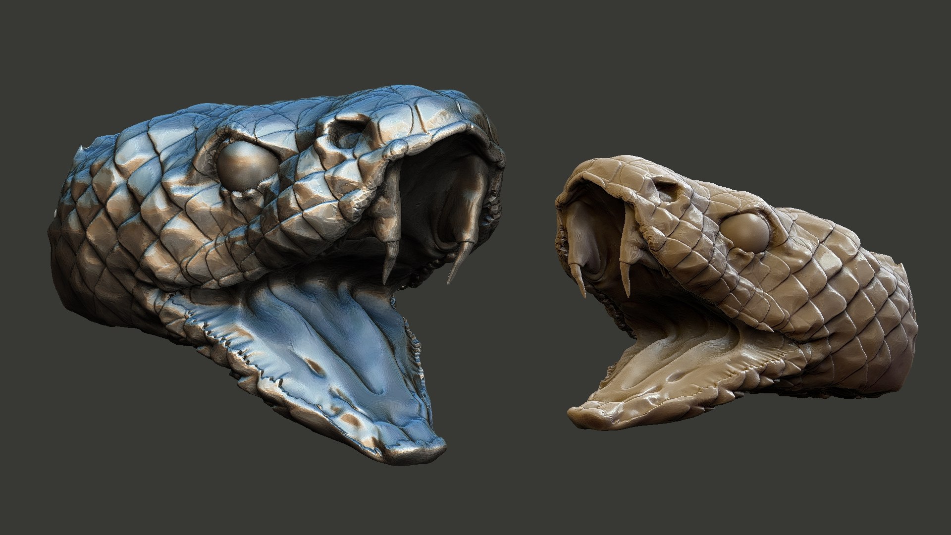 Snake Head 3D Model - TurboSquid 1719807
