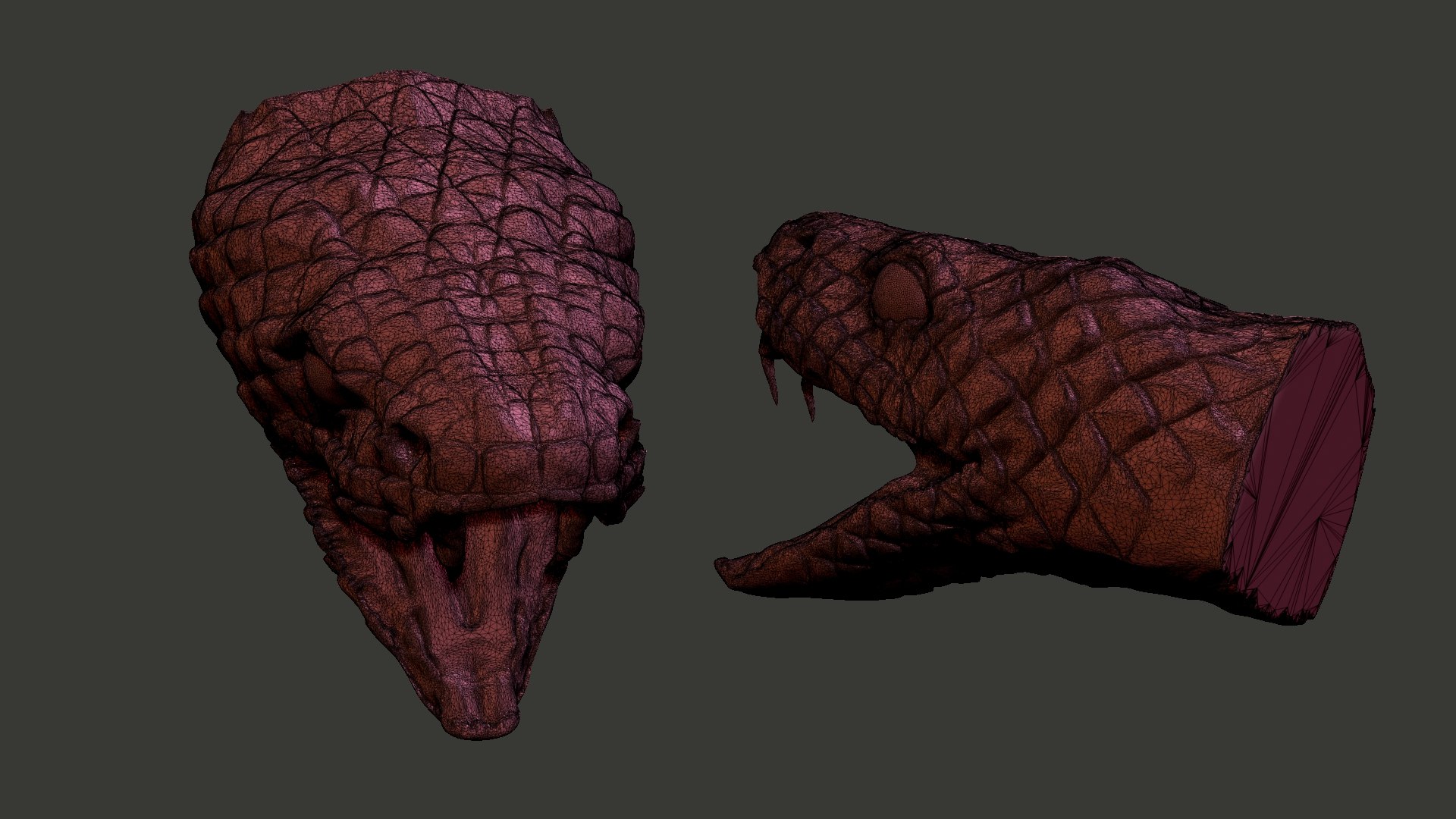 Snake Head 3D Model - TurboSquid 1719807