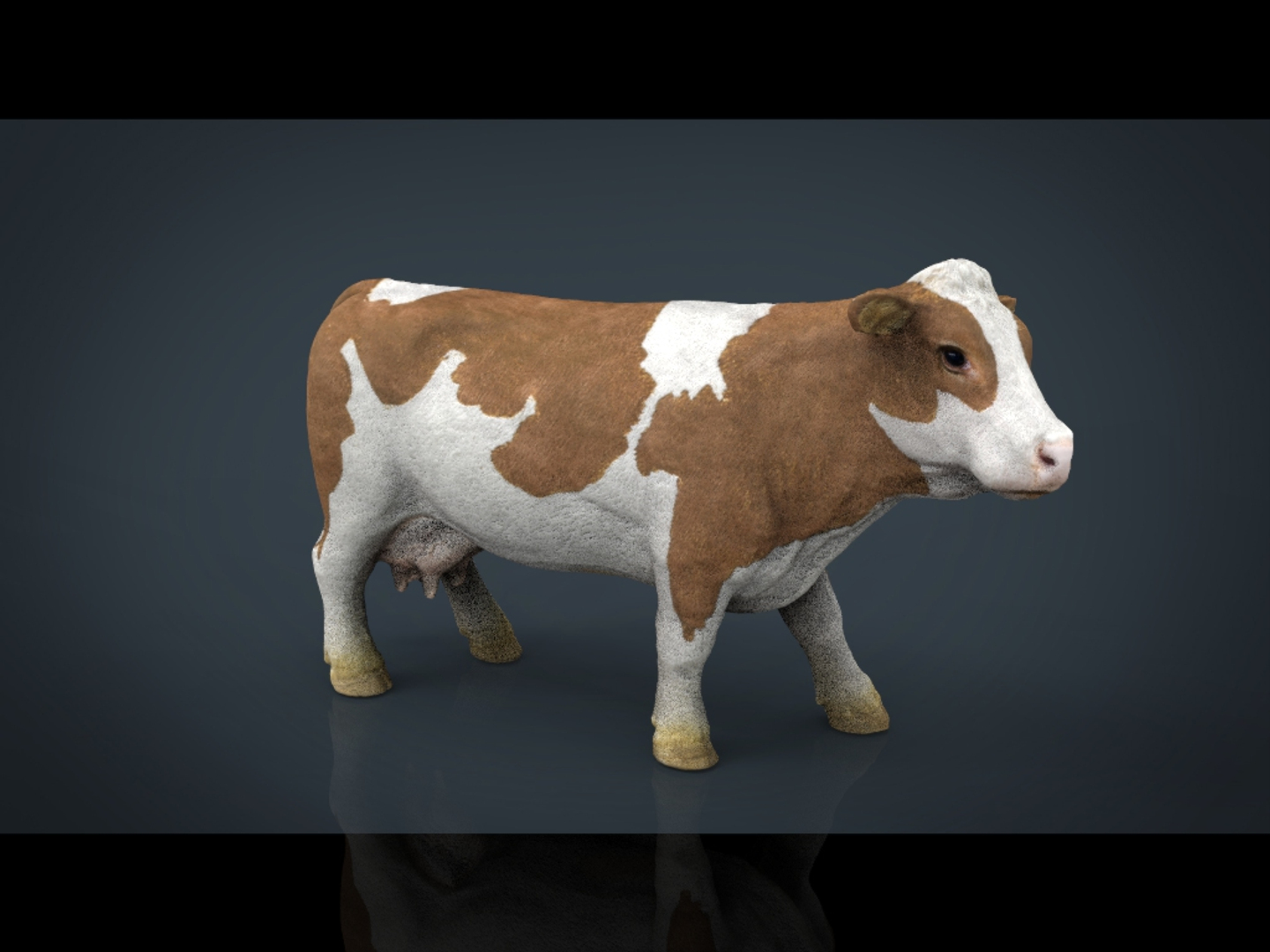 Max Cow