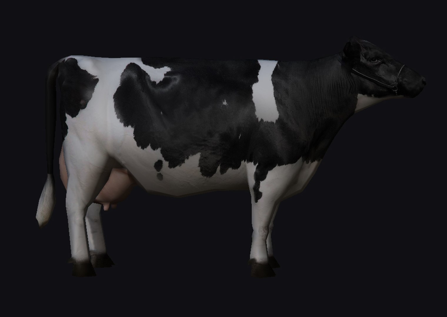 Cow 3ds