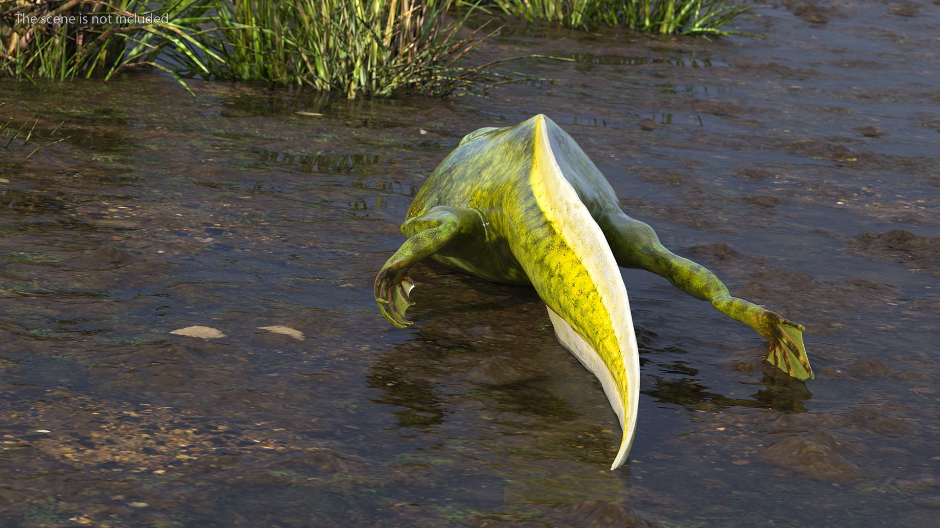 3D Tadpole With Legs Model - TurboSquid 1719487