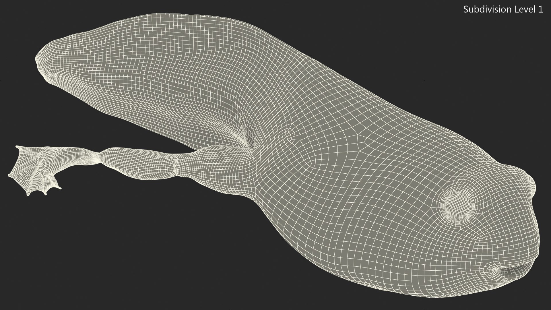 3D Tadpole With Legs Model - TurboSquid 1719487