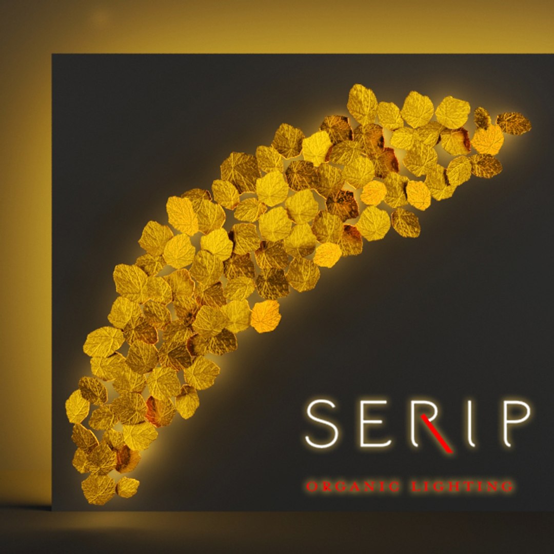 3d model of serip ap1468-fo