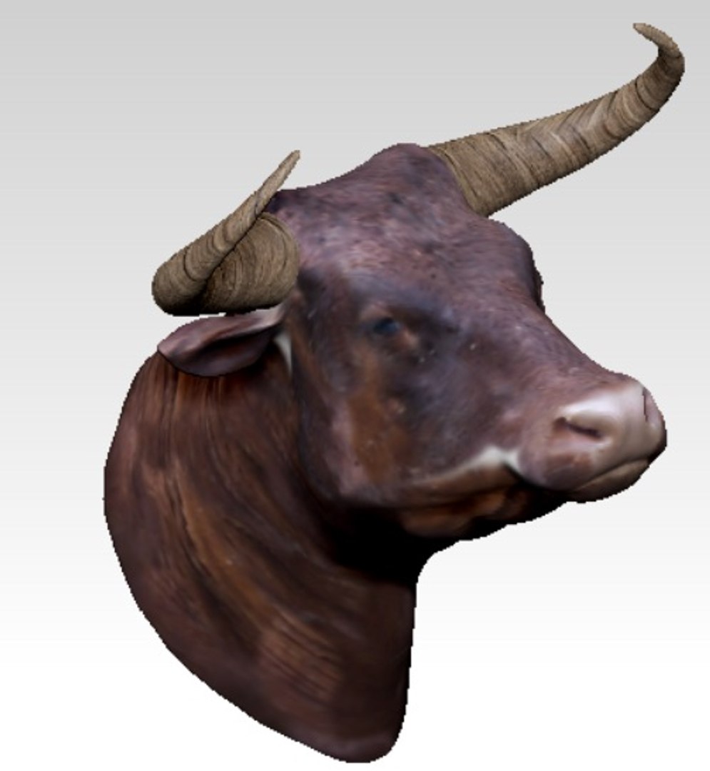 3d Obj Bull