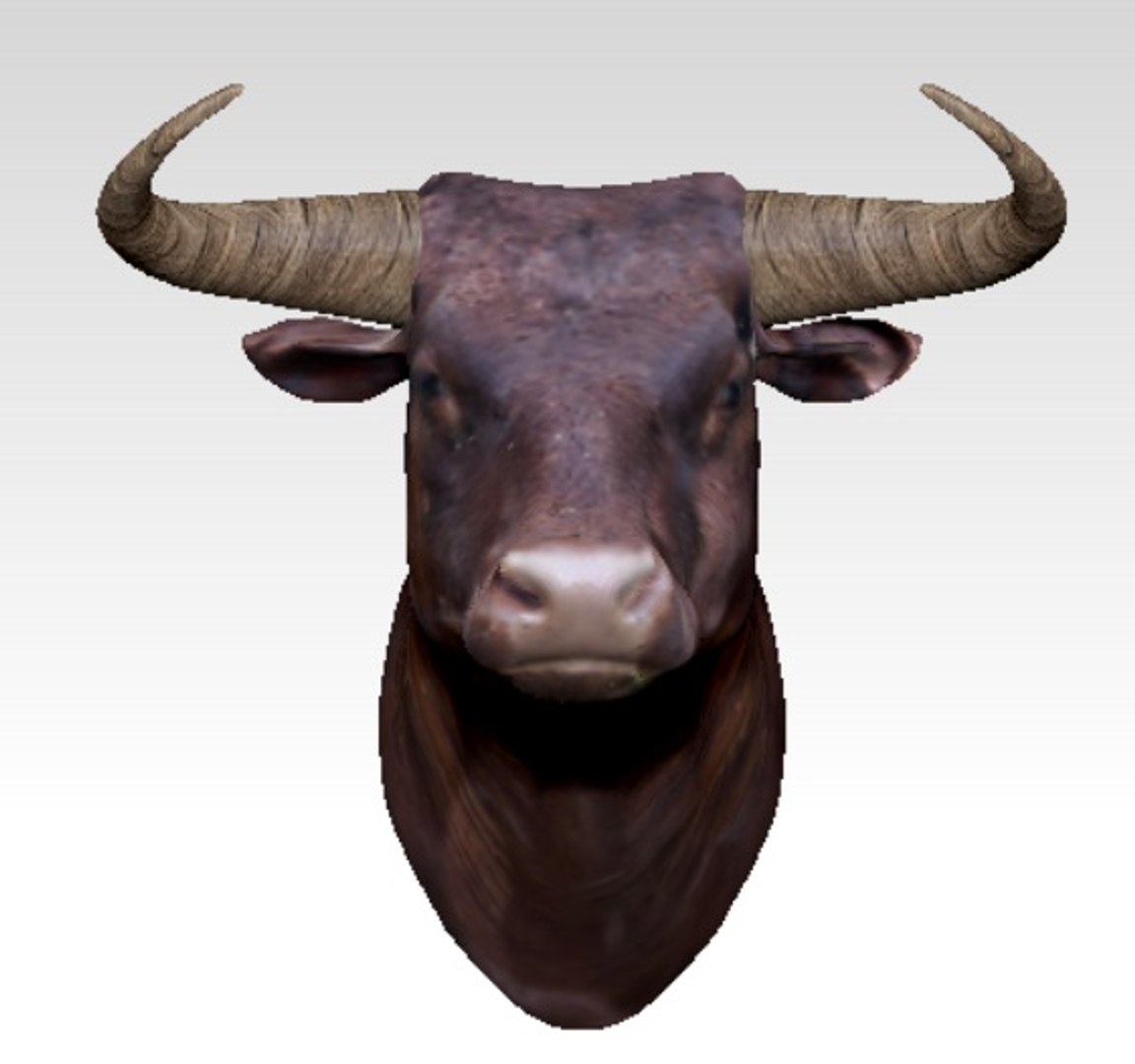 3d Obj Bull