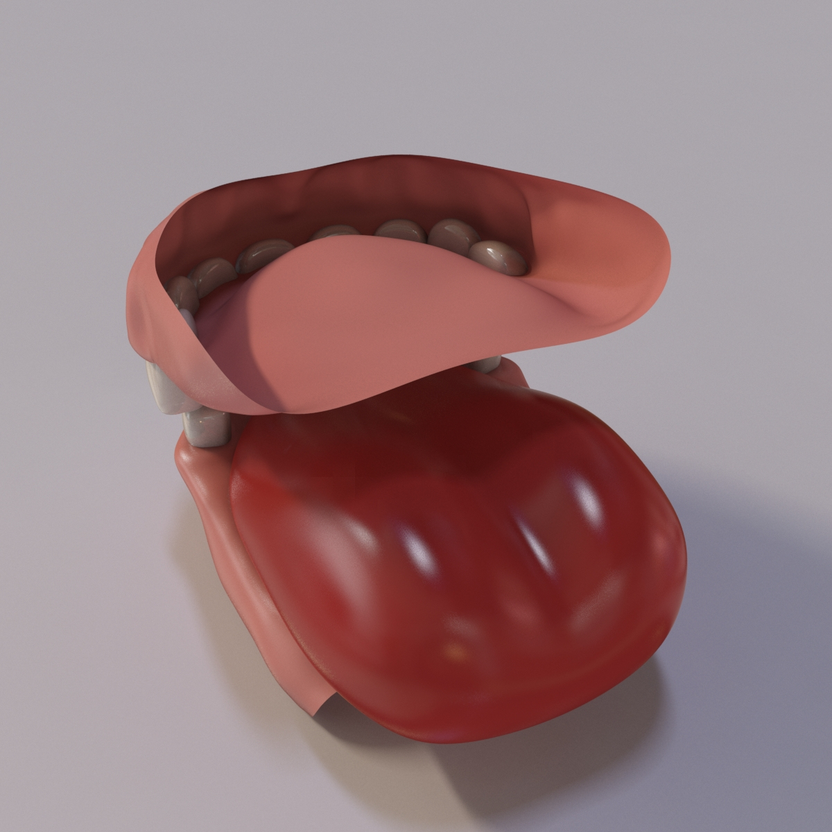 3d model cartoon teeth