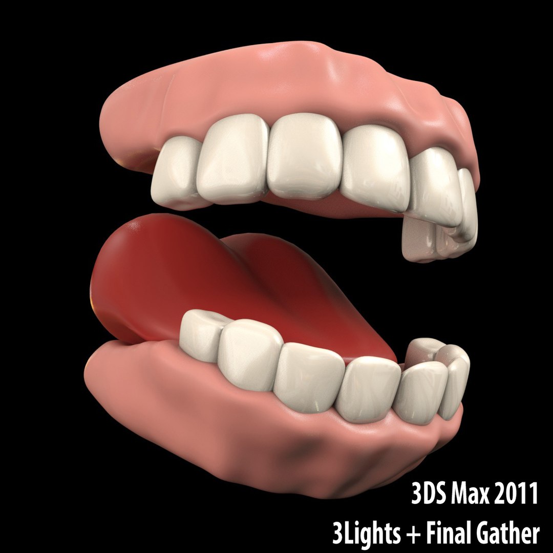 3d Model Cartoon Teeth