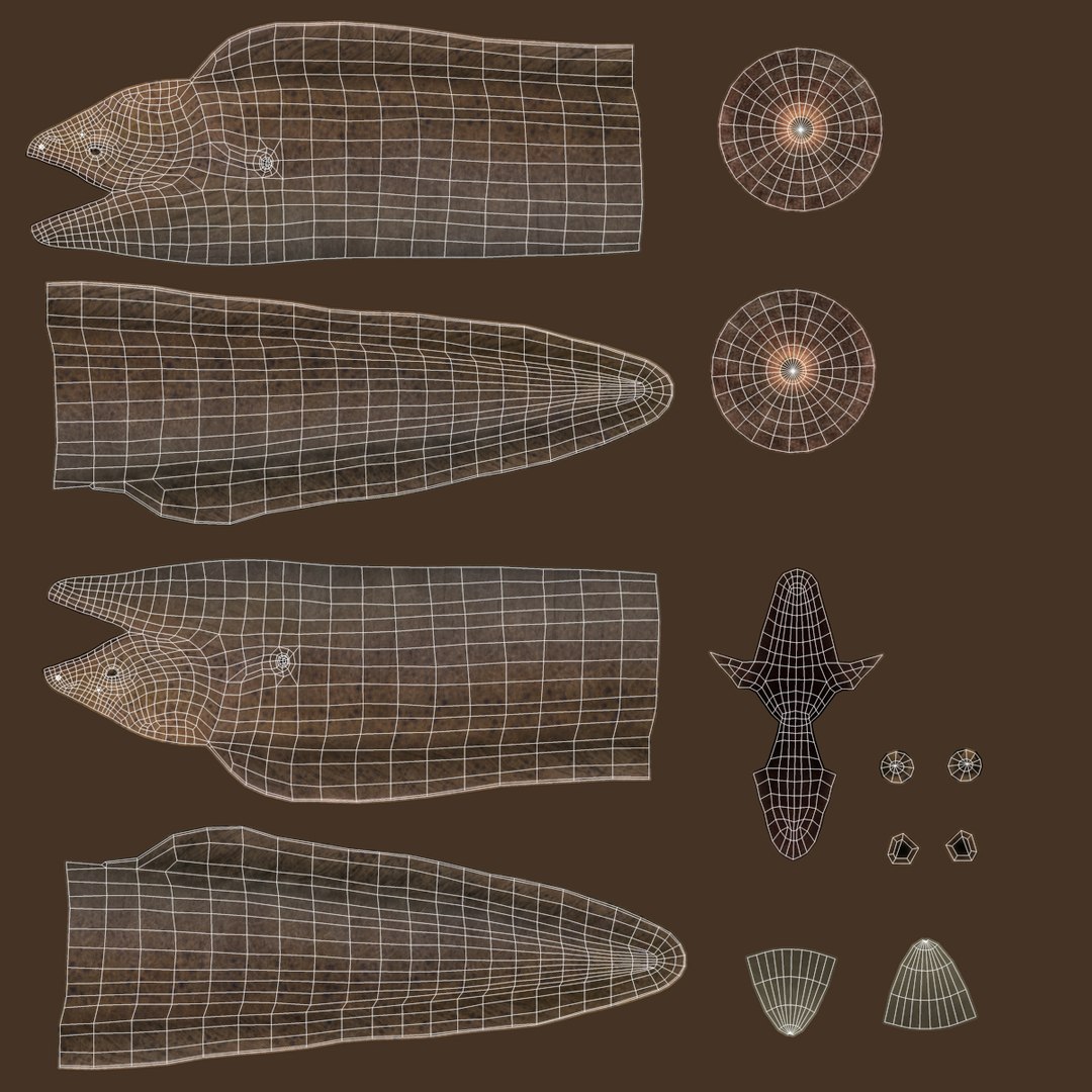 3d Eel Green