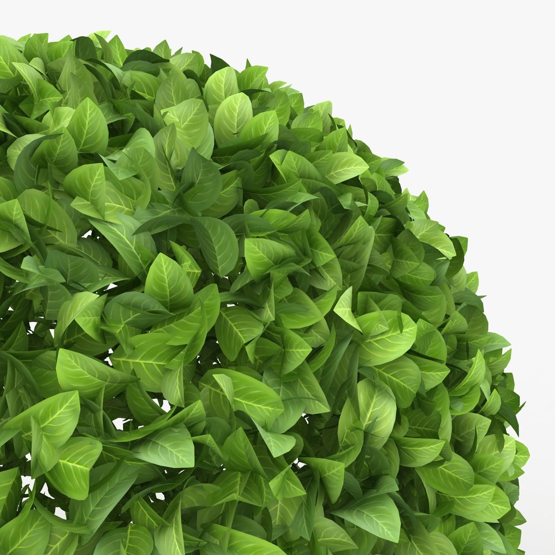 3d realistic hedge 01