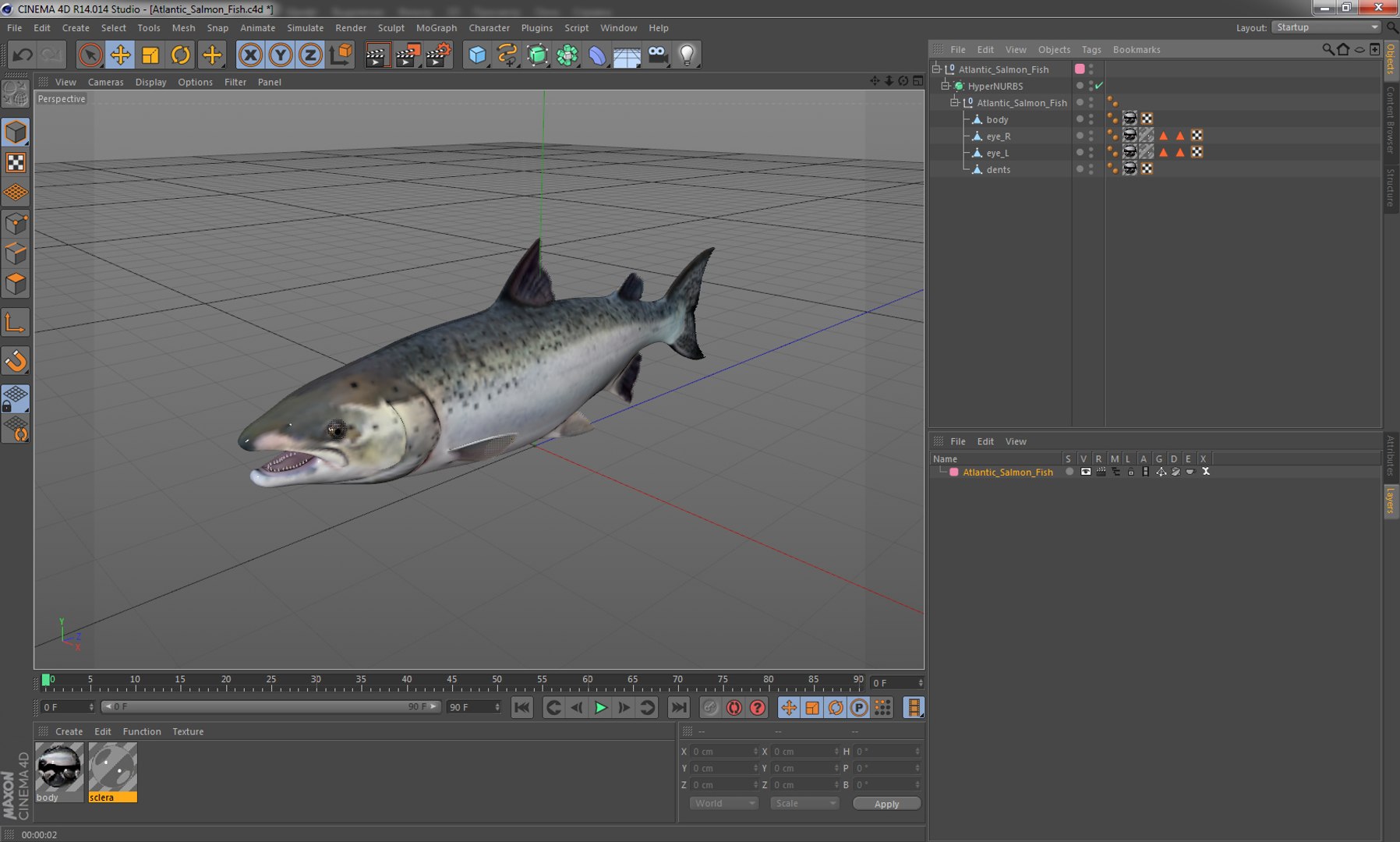 3d model atlantic salmon fish