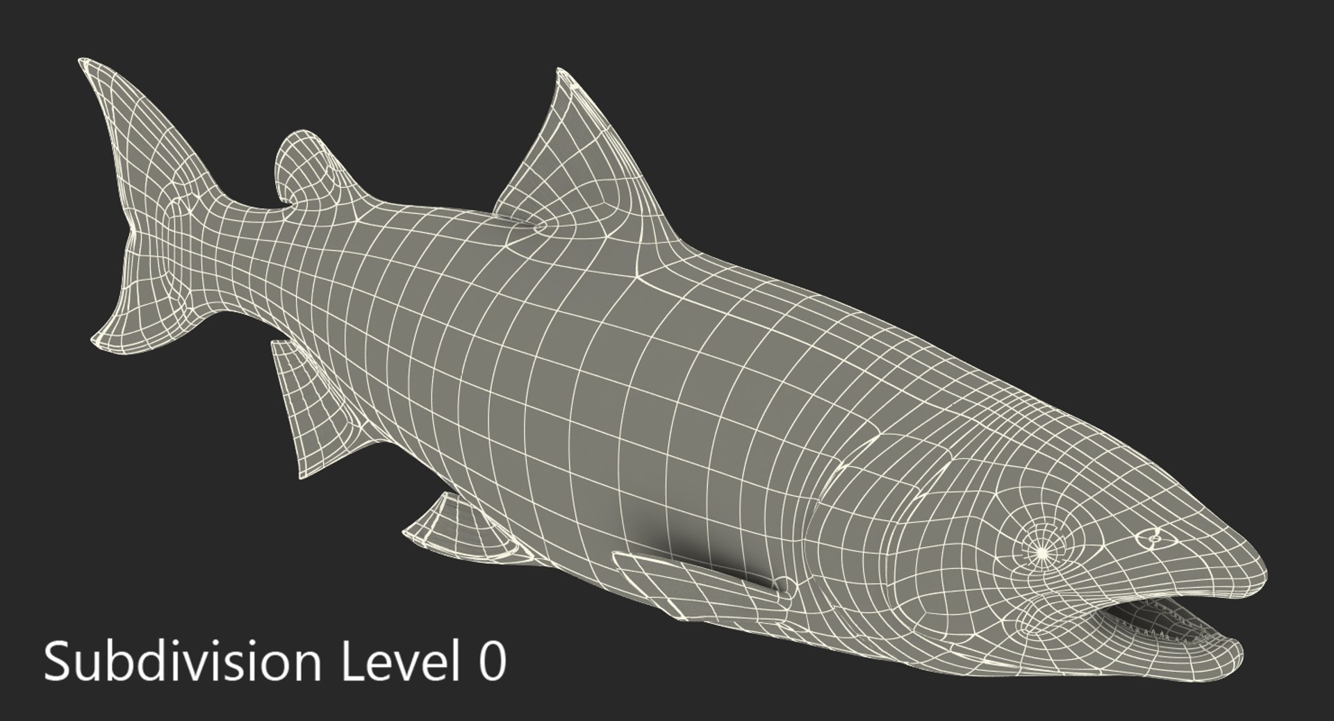 3d model atlantic salmon fish