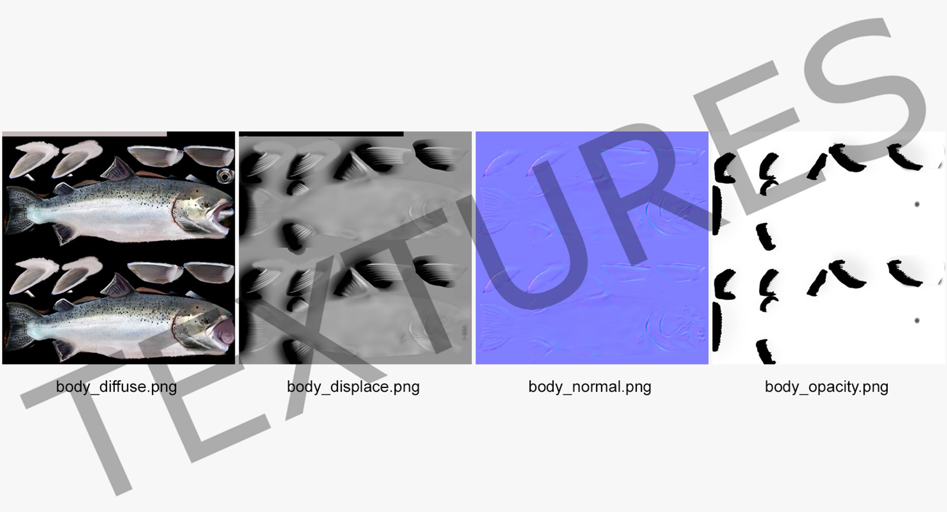 3d model atlantic salmon fish